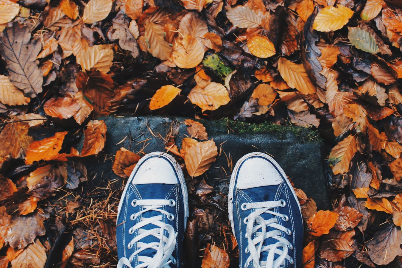 14 Fall Event Ideas For September October Member Solutions